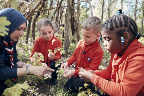 What is Squirrels? - 1st Washington Scout Group